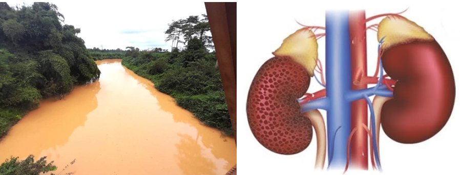 The persistent terrorism of galamsey